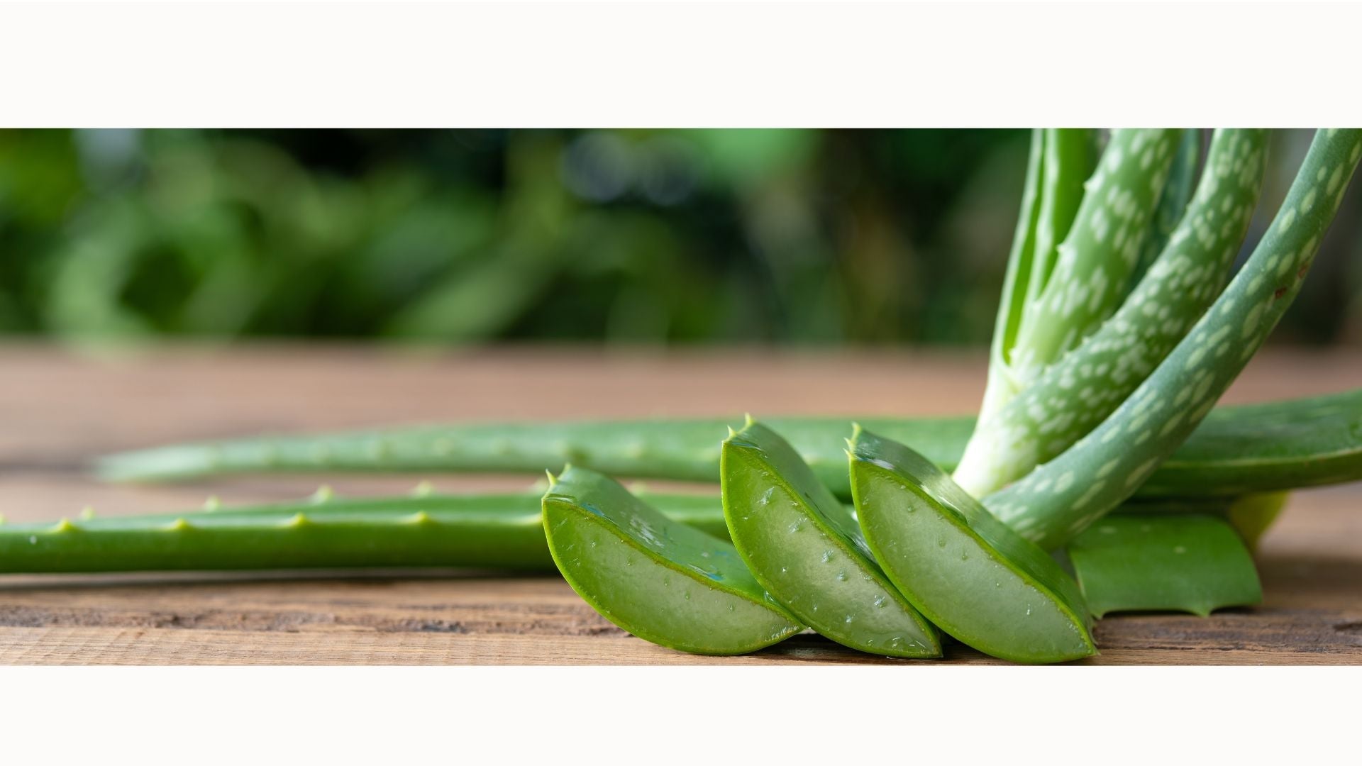 Best Sellers – Aloe Life